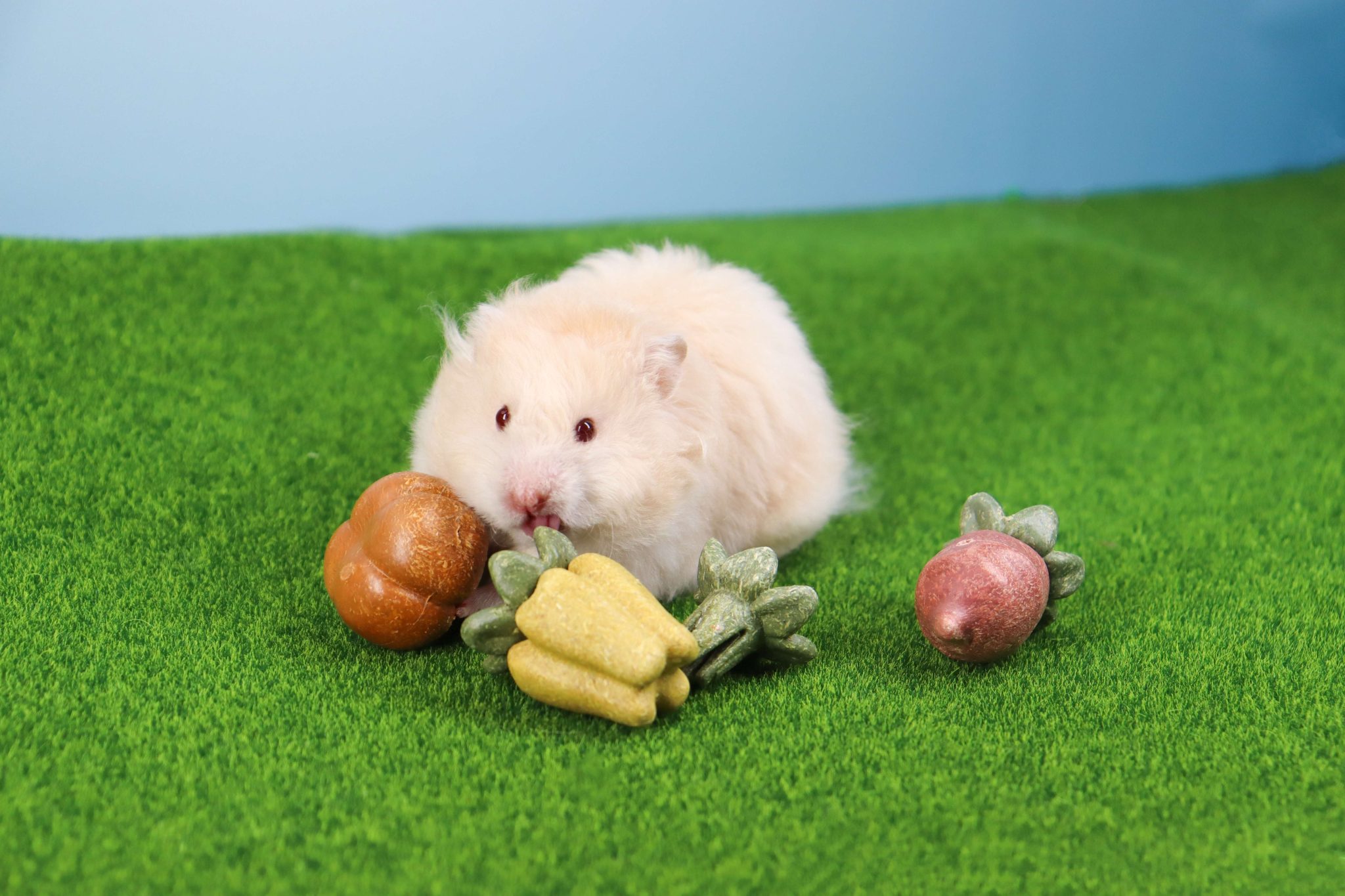 Nibble Fruit & Veg: The Edible Chew Toy That Turns Teeth Care Into ...
